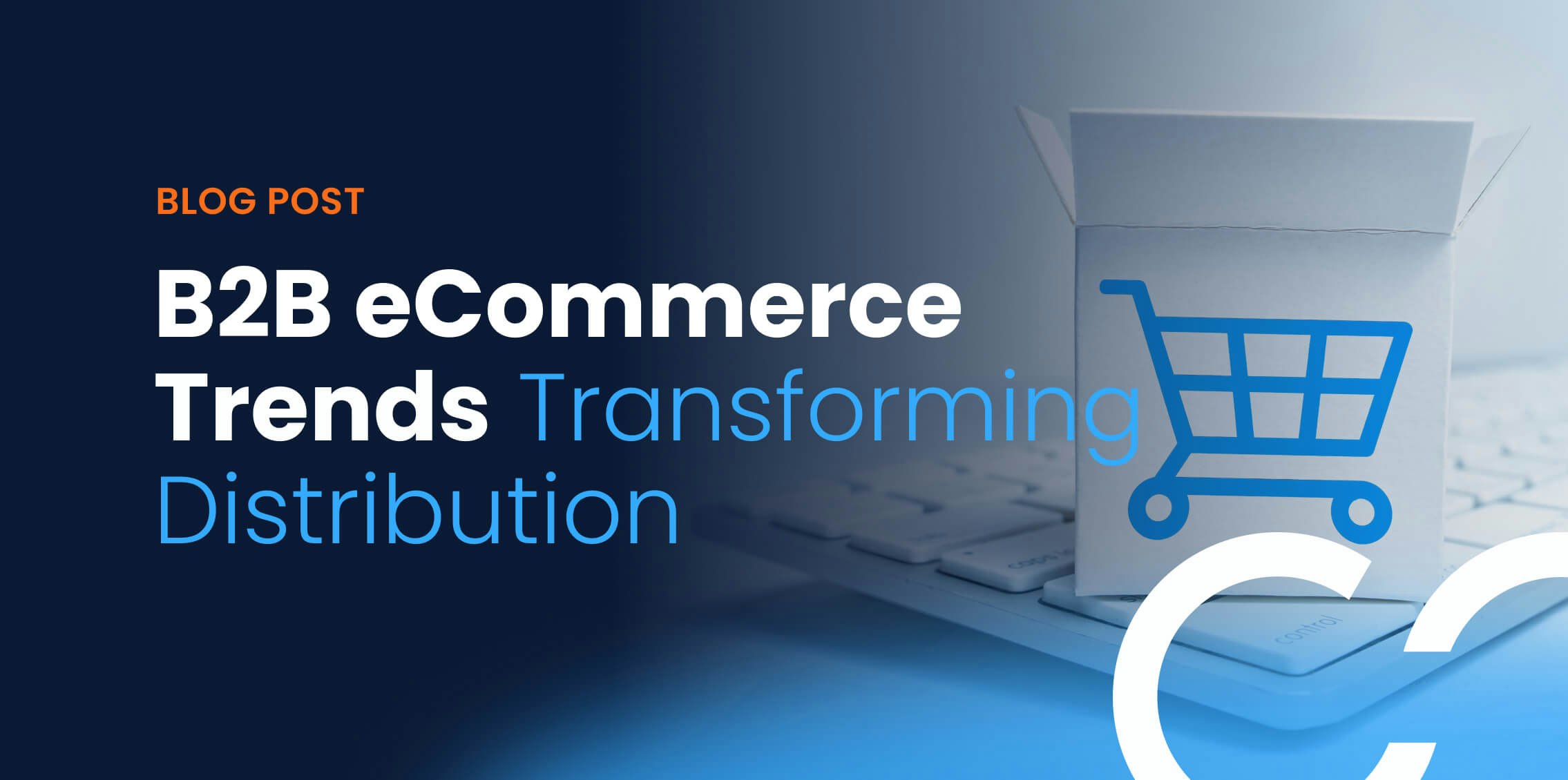2024 B2B eCommerce Trends | White Cup